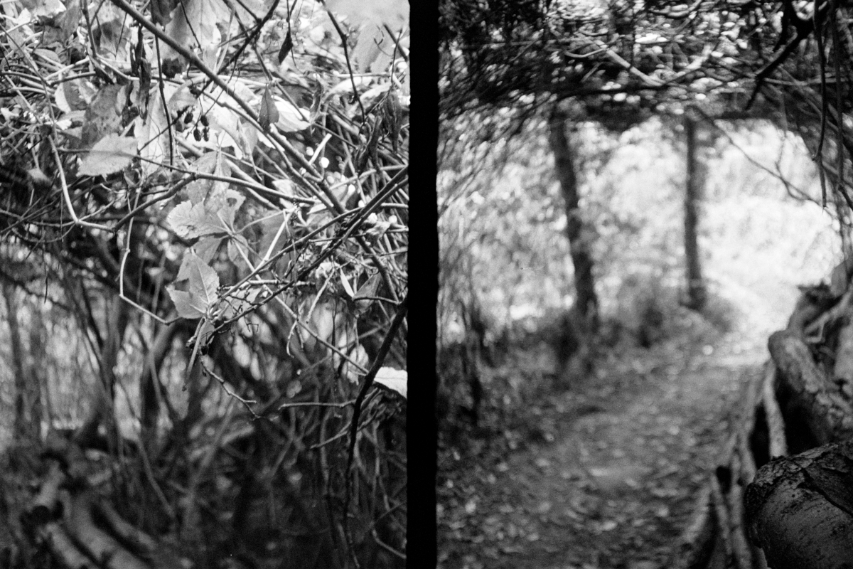 inspiration overview | analog photography – Joanna Skowrońska
