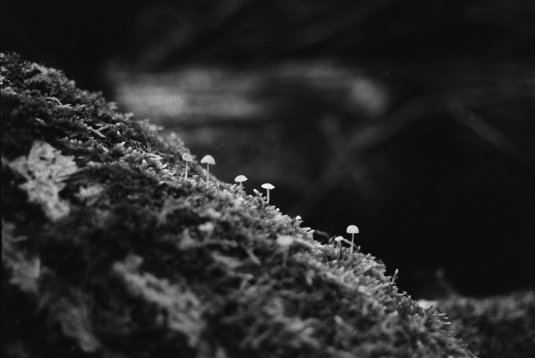 eight miracles | on film – Joanna Skowrońska